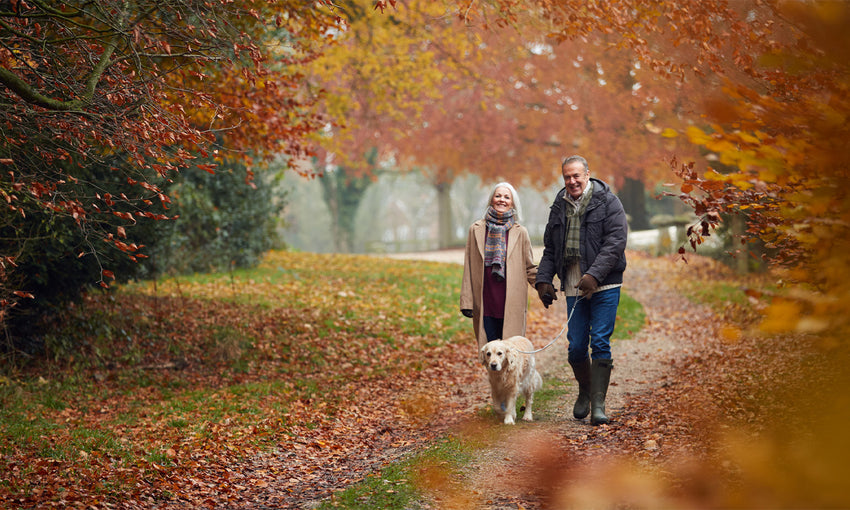 Turmeric - Quality Health Supplements - Capsules and Powder – Nature ...