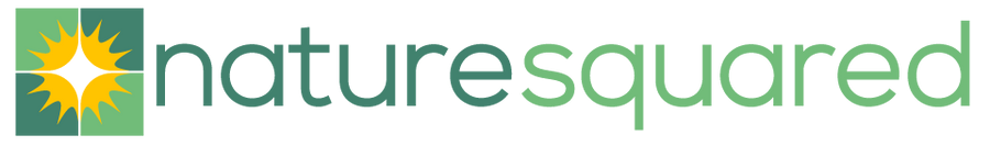 Why turmeric is the new 'must have' in the running world? – Nature Squared